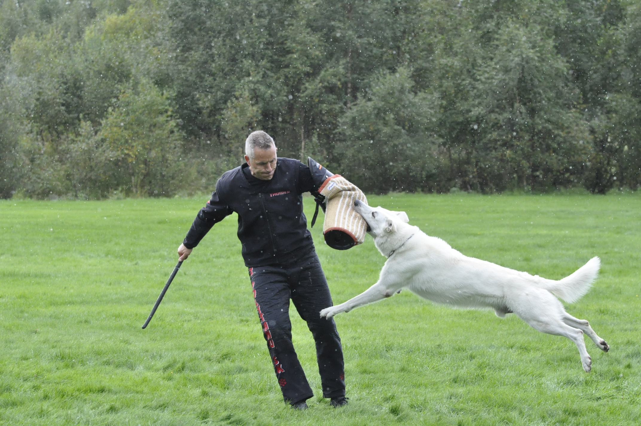 HEYAB Hund – Hund för Alla